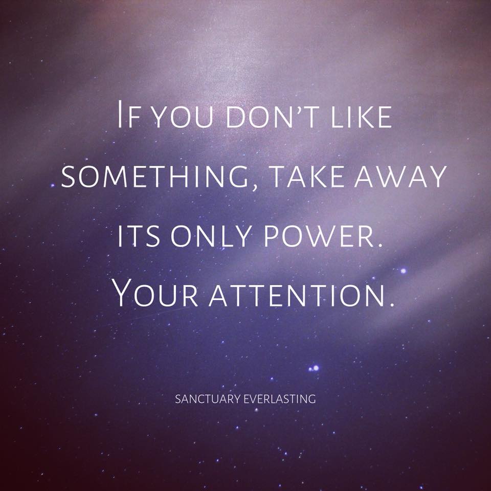 The Power of Attention - Sanctuary Everlasting