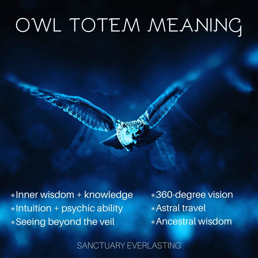 Owl Totem Meaning (Spirit Animal) | Sanctuary Everlasting