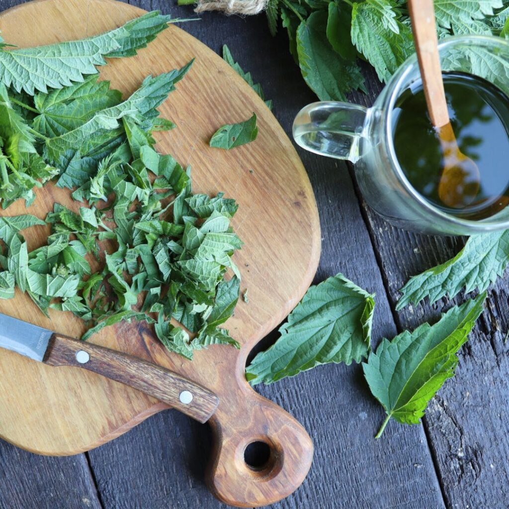 7 Springtime Detox Tea Recipes - Sanctuary Everlasting