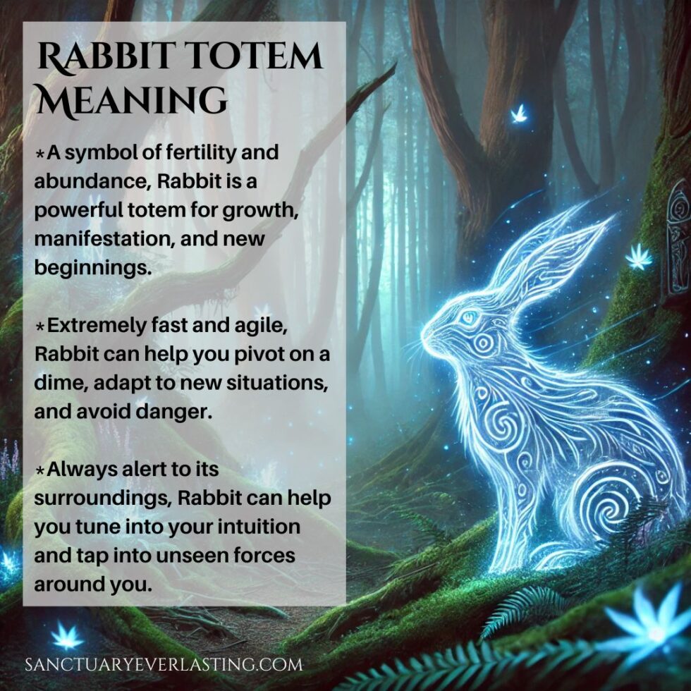Meaning of the Rabbit Totem - Sanctuary Everlasting