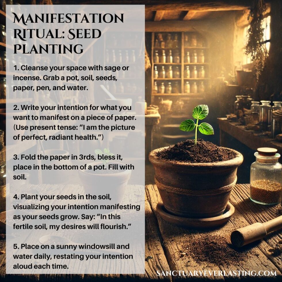 Seed Planting Ritual for Manifestation - Sanctuary Everlasting